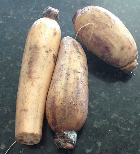 Nadru Kebabs: A Kashmiri Vegan Delight – Food For The Soul