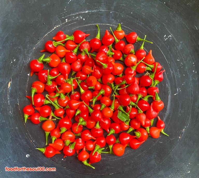 Preserved Mini Peppers – Food For The Soul